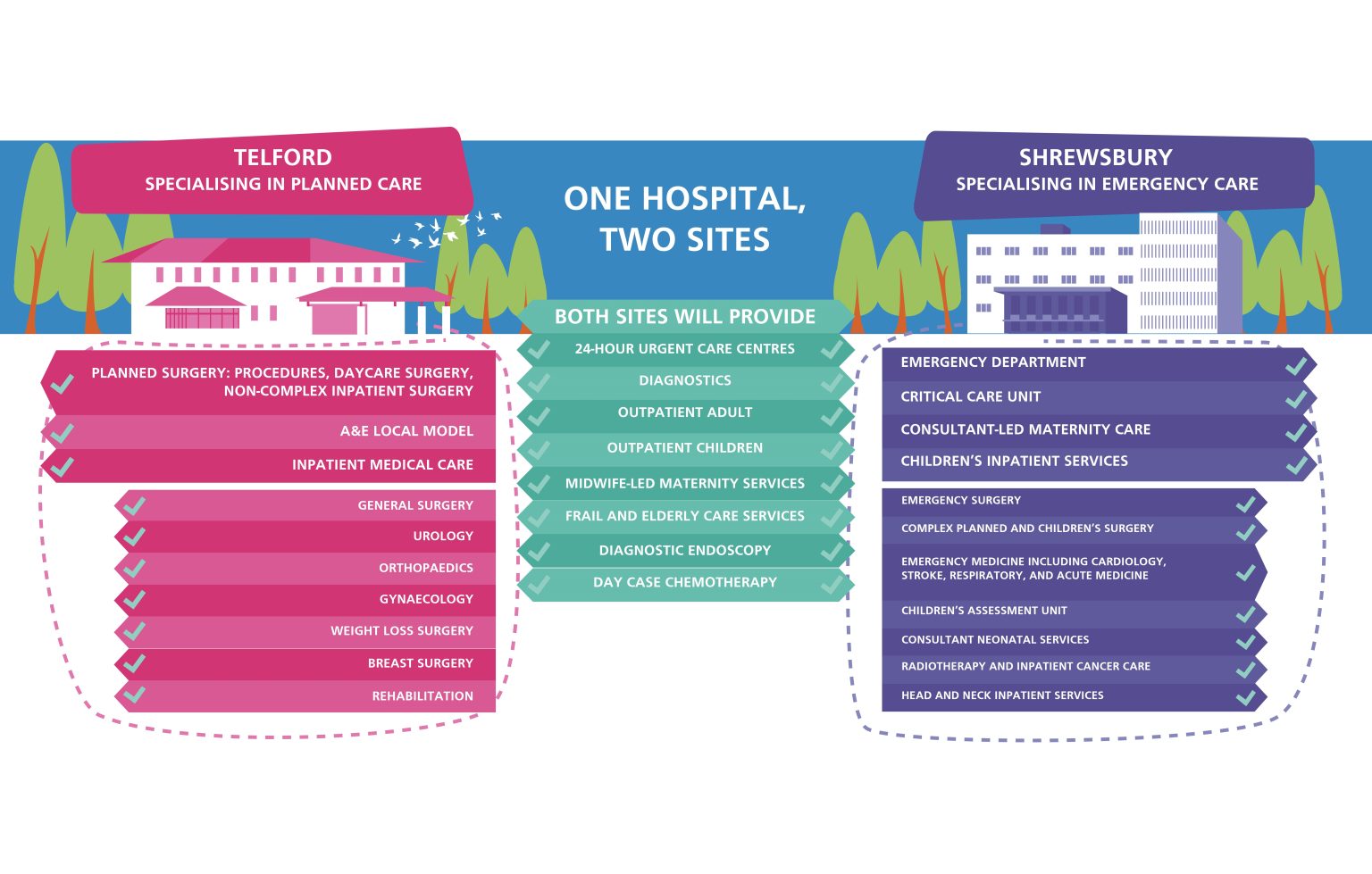 Hospitals Transformation Programme - STWICS